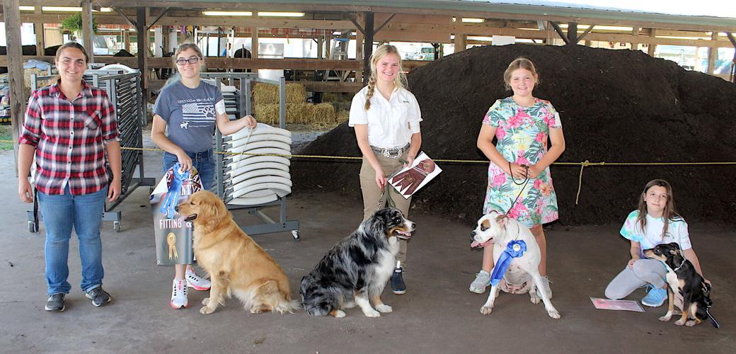Queen Anne's County Fair begins Monday | Local | stardem.com
