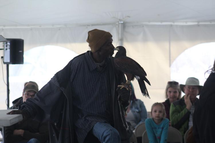 Blackwater's Eagle Festival a soaring success | Dorchester County News ...