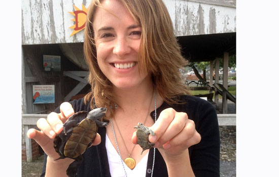 Terrapins released at CBMM | Life | stardem.com