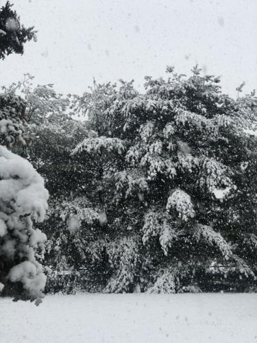 Winter weather: Snowy Super Bowl Sunday on Shore | Local | stardem.com