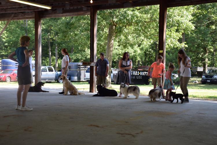 Talbot County Fair Dog Show 2016 | Photos | stardem.com