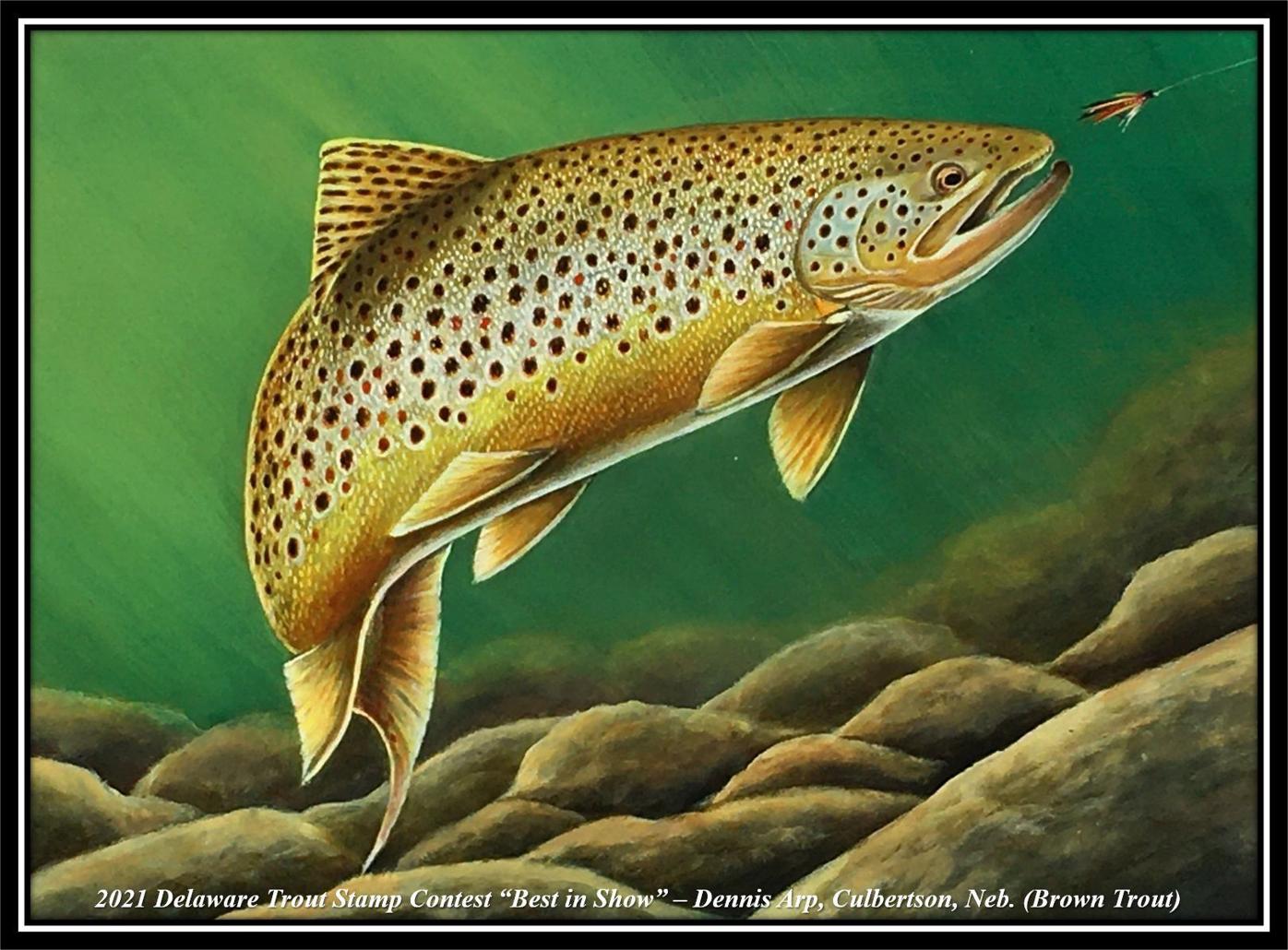 Delaware Waterfowl and Trout Stamp art winners announced | Local ...