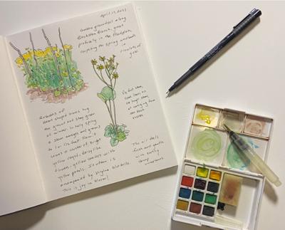 Botanical art and nature journaling take center stage at talk | Arts ...