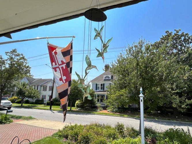 Hummingbird Inn: a bed and breakfast filled with love and community ...