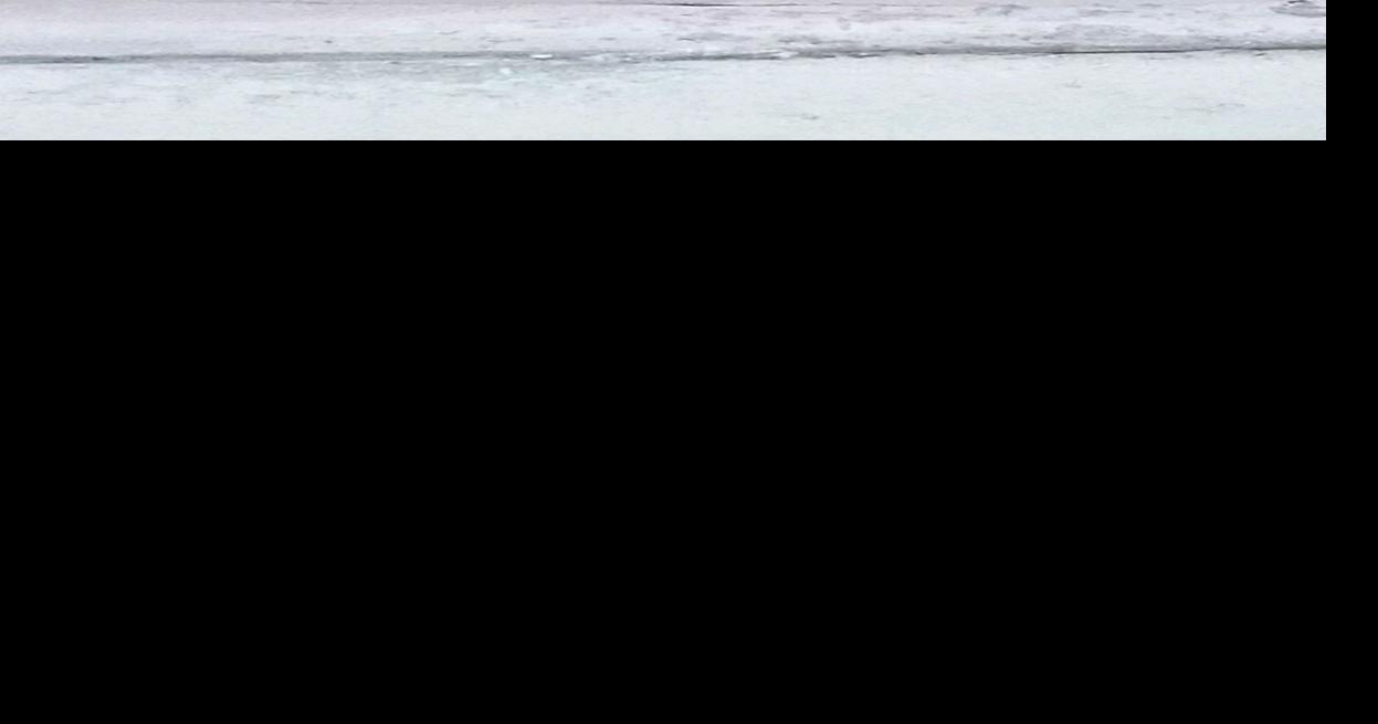 Cecilton fire company saves doe stranded on frozen creek | Local ...