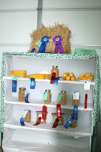 Queen Anne's County Fair — Indoor Exhibits | Featured | stardem.com