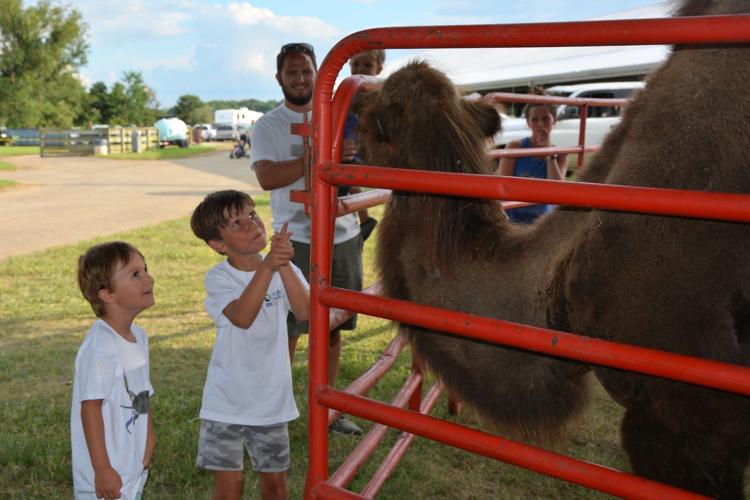 Despite heat wave, Kent County Fair a success | Local | stardem.com