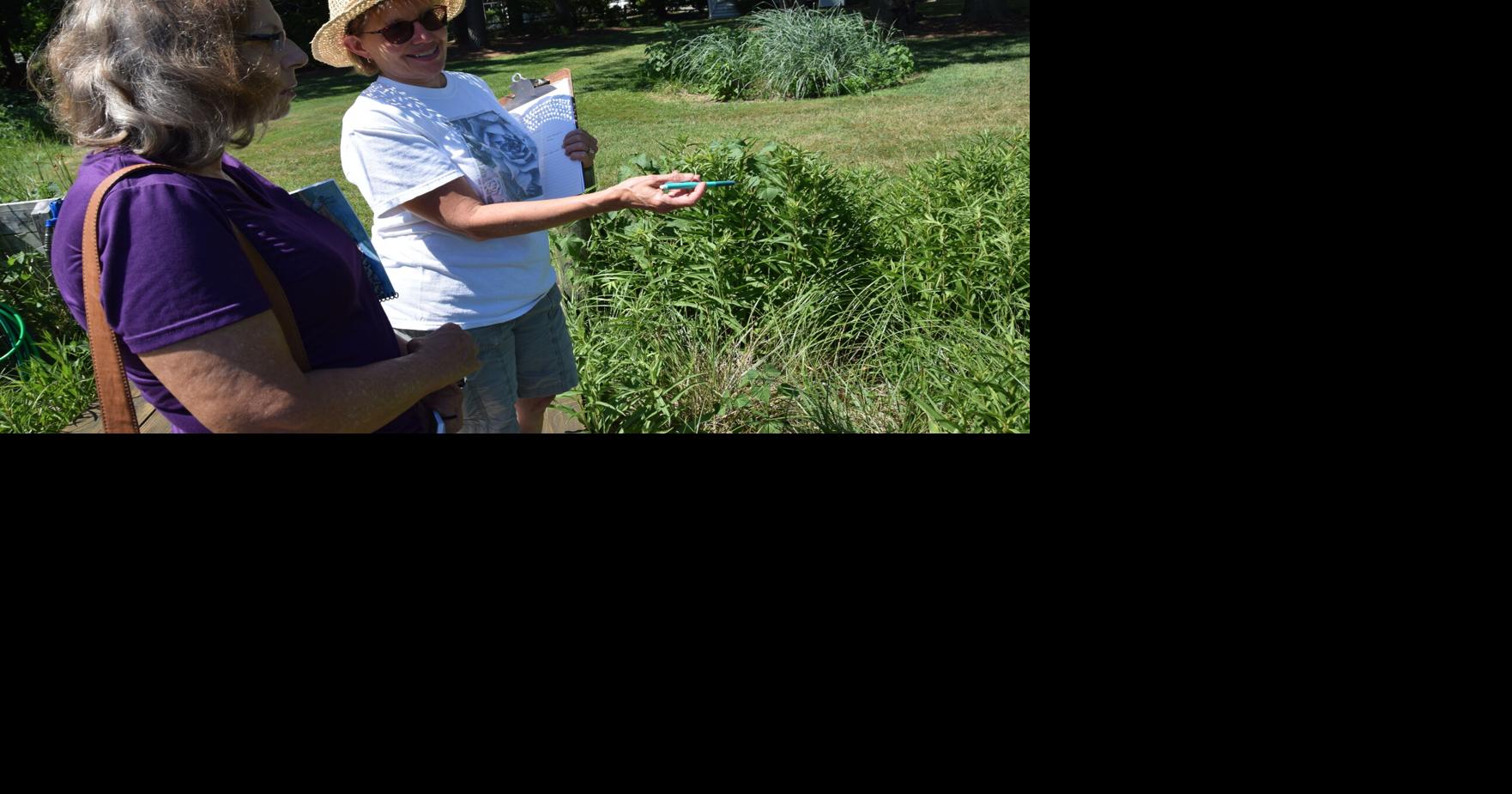 Upper Shore Master Gardener programs to hold basic training | Life ...