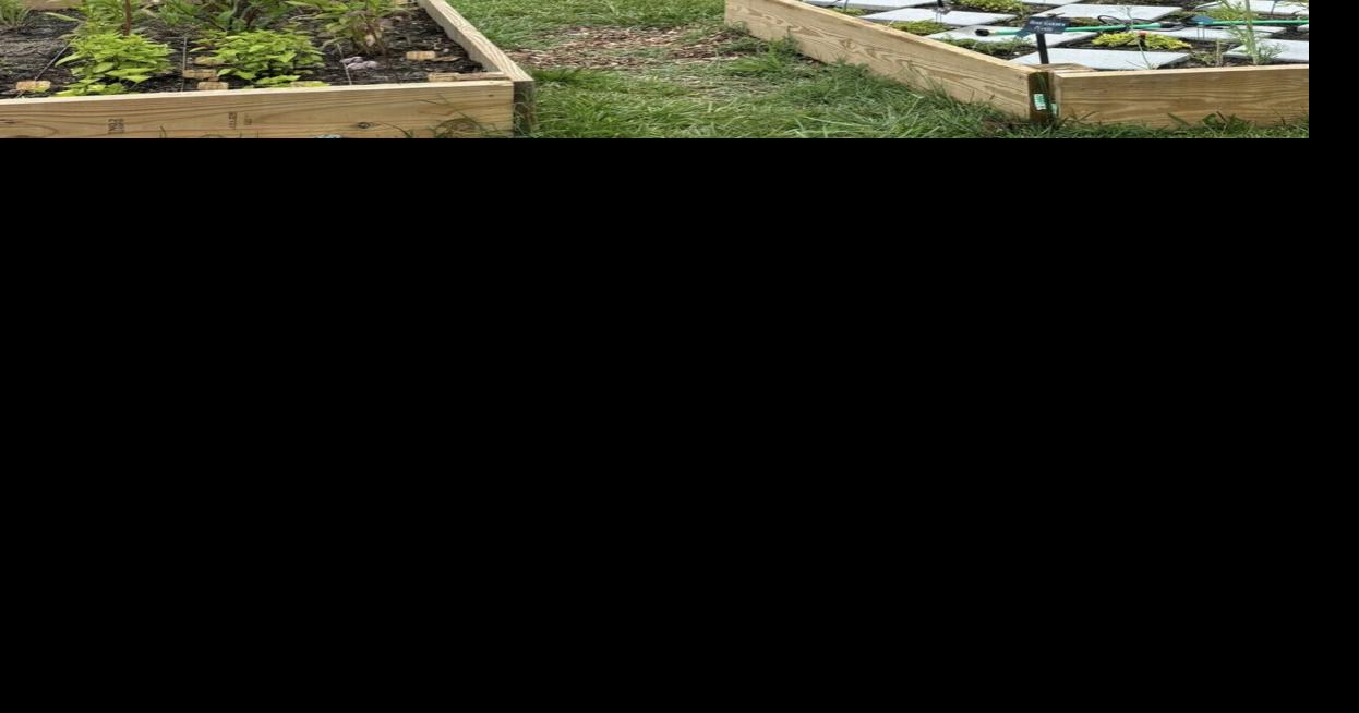 Growing green: Kent Island Community Garden celebrates open house ...