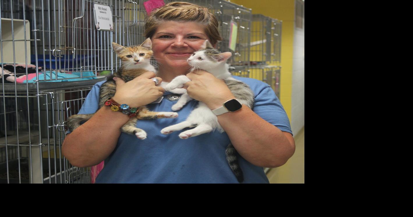 Talbot Humane reports increase in animal intake in 2022 | Local ...