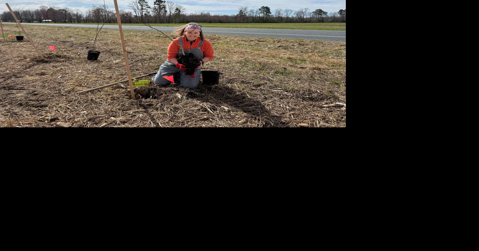 Trees planted at Nice Farm Creamery in Caroline County | News | stardem.com