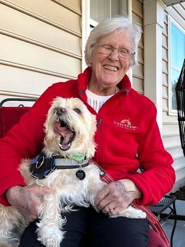 Senior pets find second chance at Londonderry | Life | stardem.com