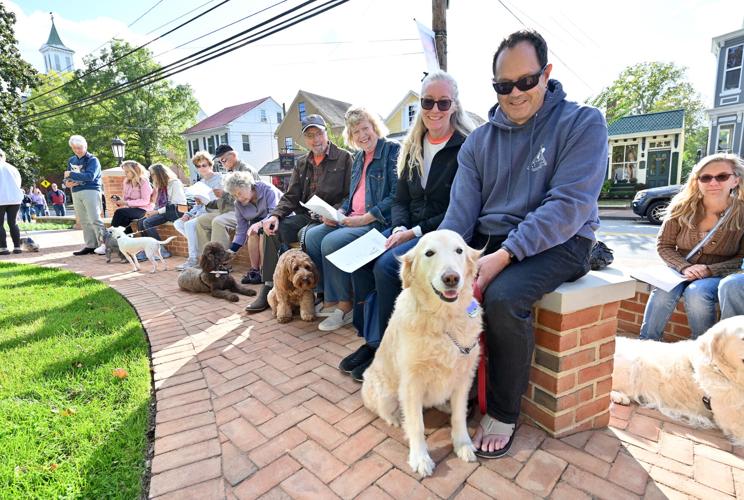 St. Michaels church blesses 50 local dogs | Local | stardem.com