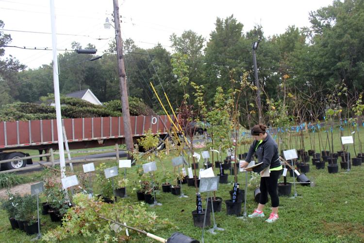 Volunteers prep Bay City tree plantings | Local | stardem.com