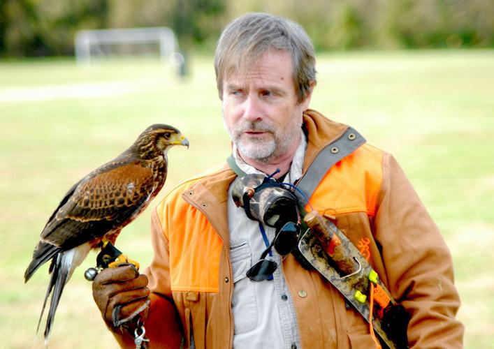 Raptors perform at the Waterfowl Festival | Local | stardem.com