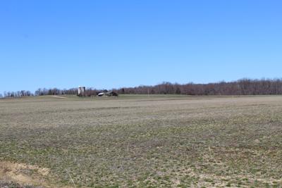Kent County joins appeal of Morgnec Road Solar project | Business ...