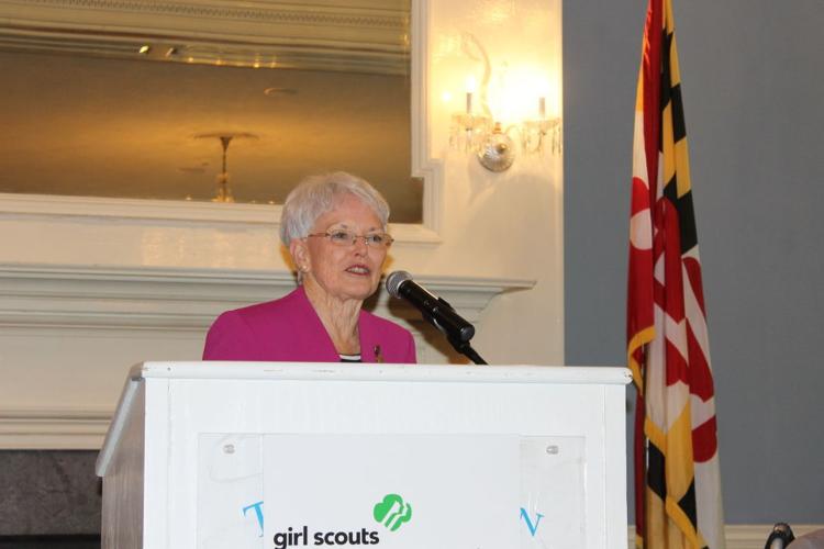 Denise Riley honored as Woman of Distinction | Photos | stardem.com