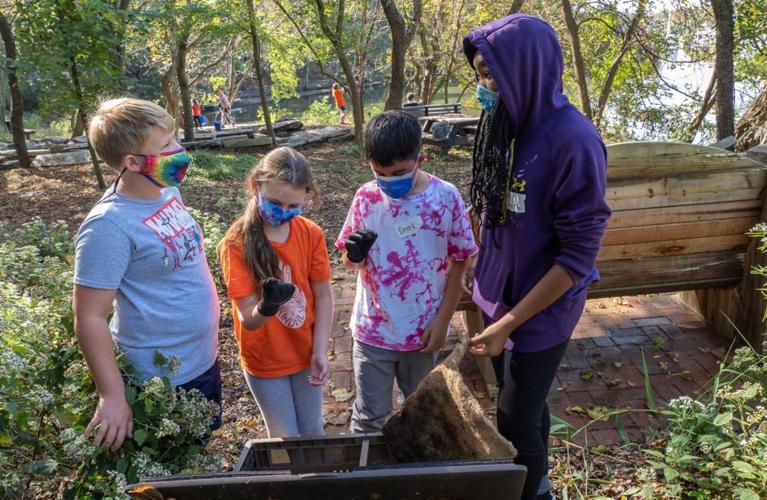 ‘We have to pivot’ | Environment | stardem.com