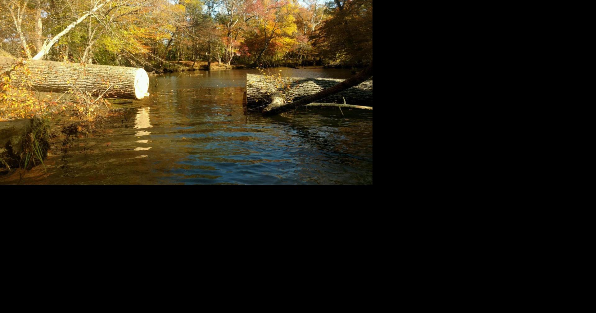 Upper Choptank River: Prone to snags | Spotlight | stardem.com