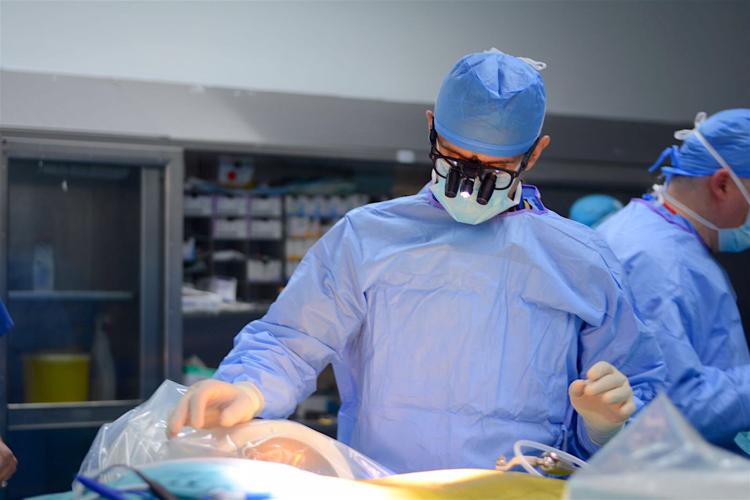 Shore Health neurosurgery team travels to Jordan for medical mission ...