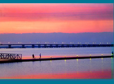 Recommended reading and resources | Chesapeake Bay | stardem.com