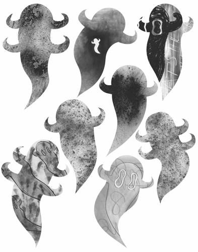 New AAM exhibit from Native American artist critiques America’s ...