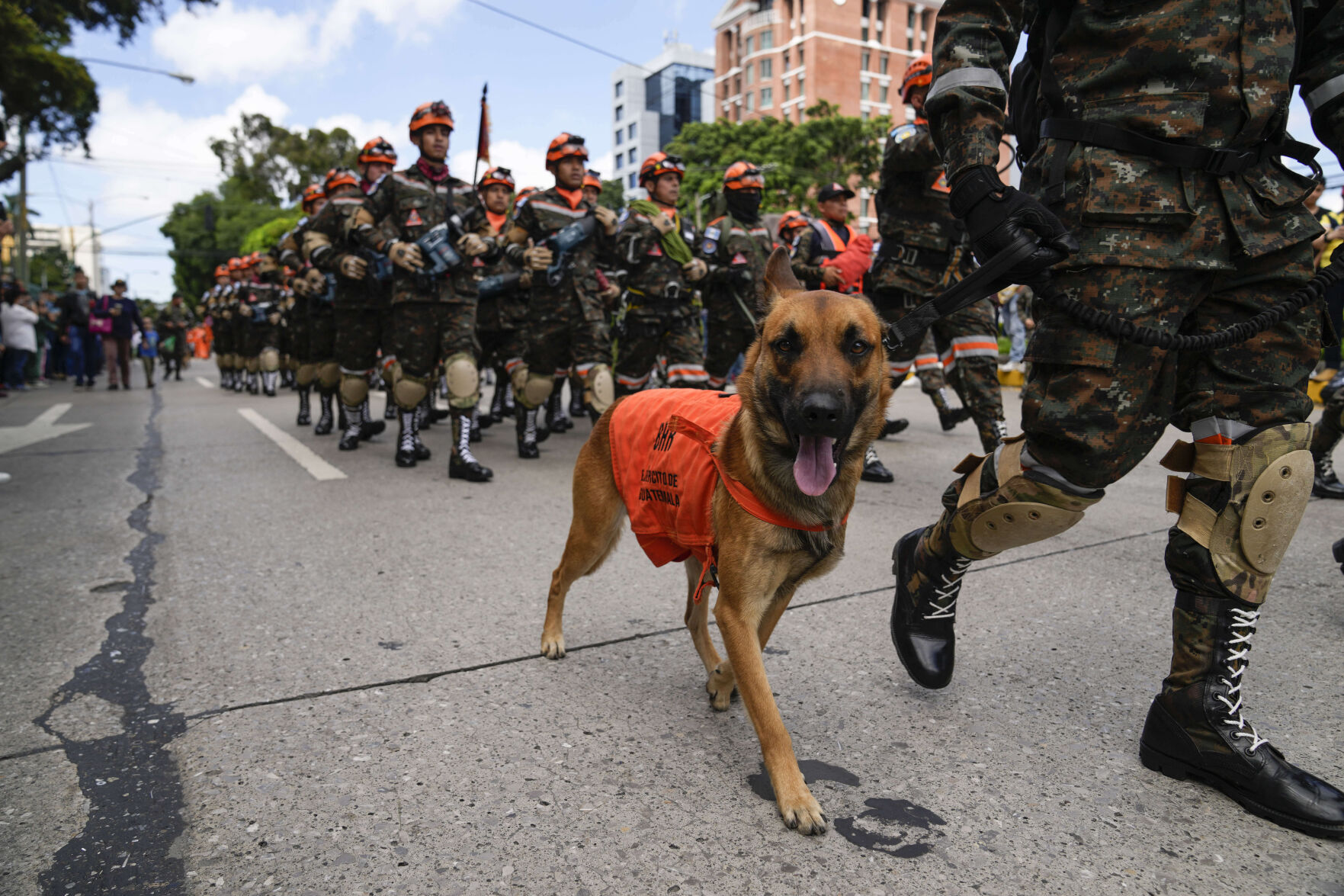 Perros del Mundo: Guatemala
