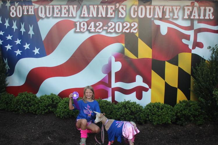 'Pretty Animals' take center stage at fair | Life | stardem.com