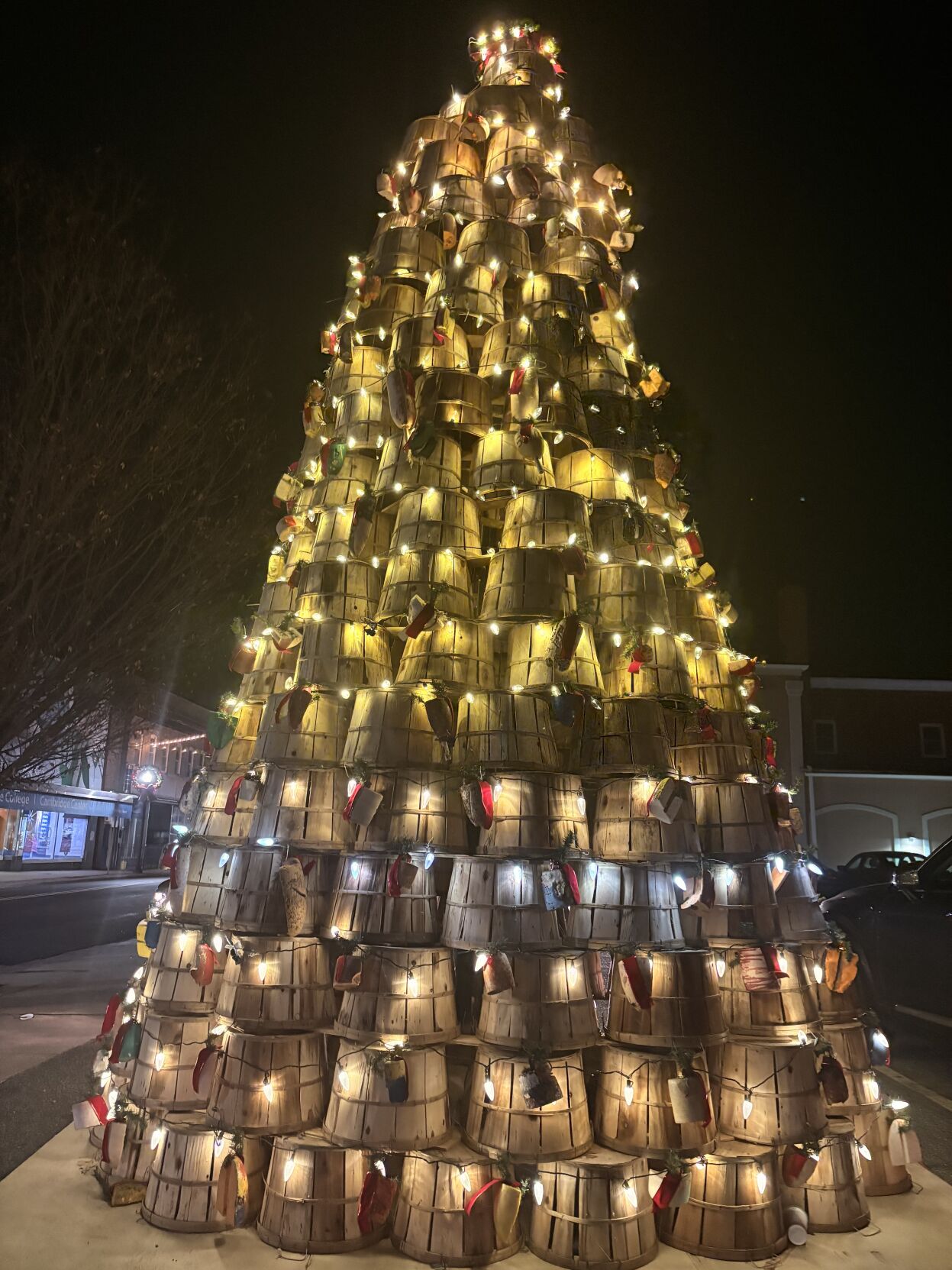 Cambridge's crab basket tree shines bright | Dorchester County News ...