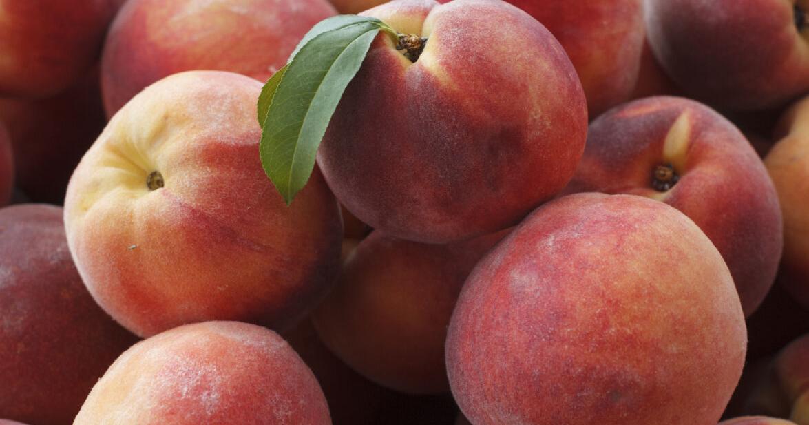 Country Cooking: Peach picking on the Eastern Shore | Food | stardem.com