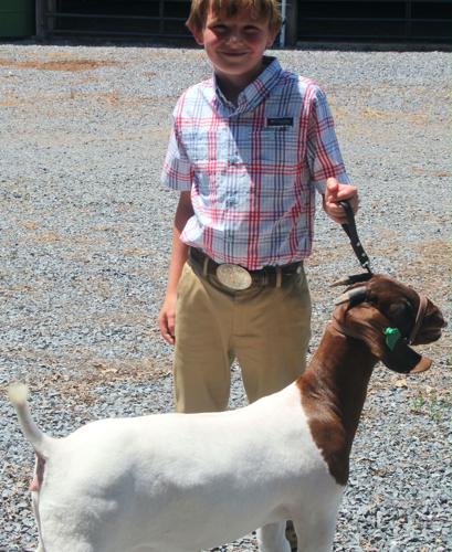 Luke Gustafson and his Boer goat | | stardem.com