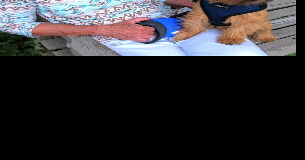 Delores Winifred "Winnie" Frazier (Rebstock) | Obituaries | stardem.com