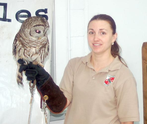 Senior Summit and Picnic | Featured | stardem.com