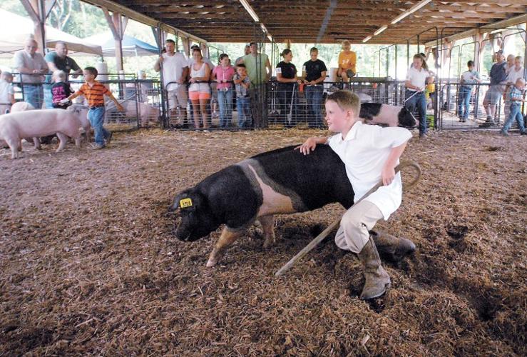A squealing good time at the Market Hog Show | Photos | stardem.com