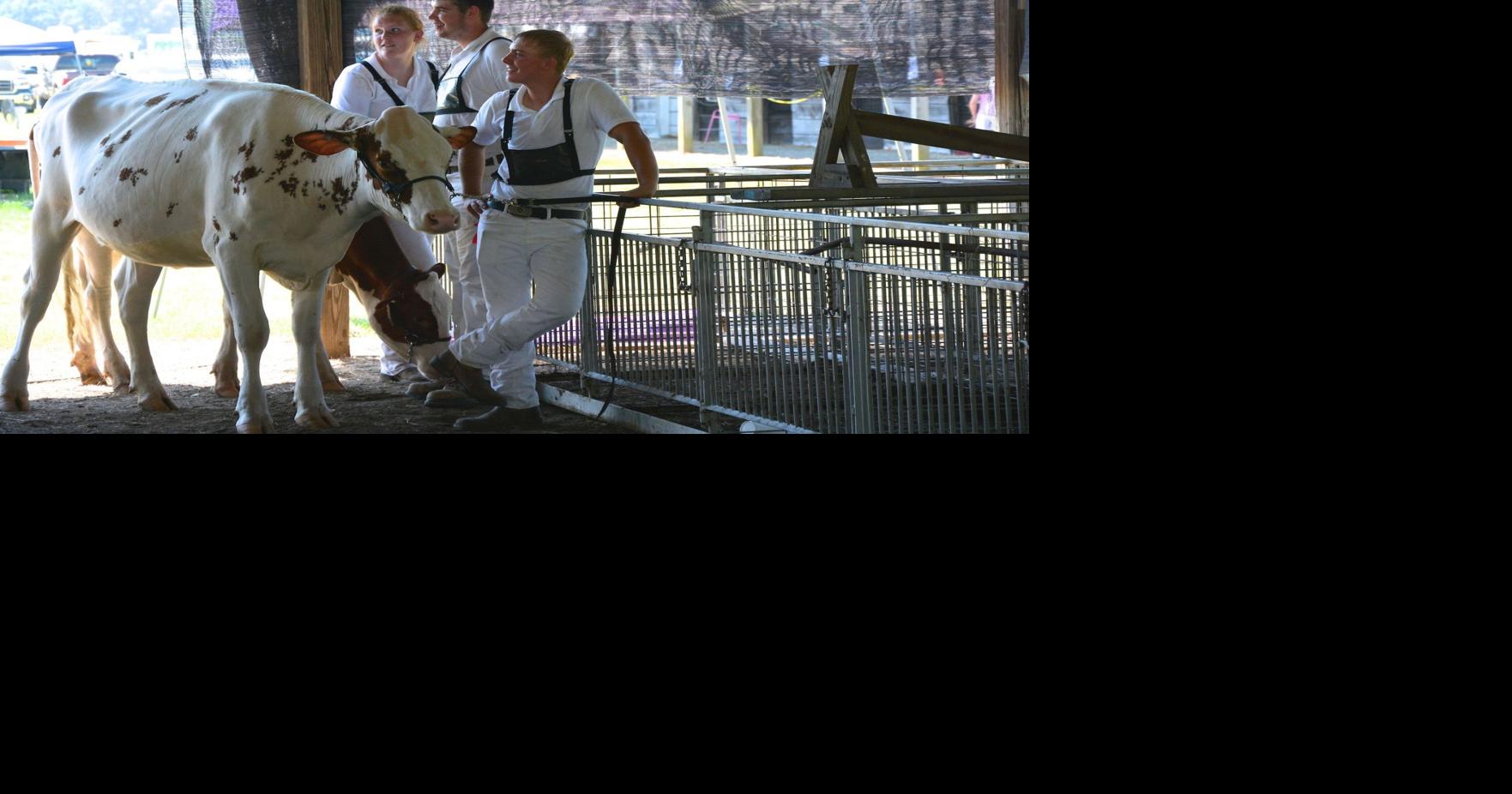 Summer heat doesn't stop Kent fair | Local | stardem.com