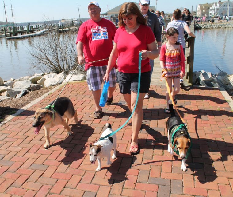 Mutt Strut 2015 | Featured | stardem.com