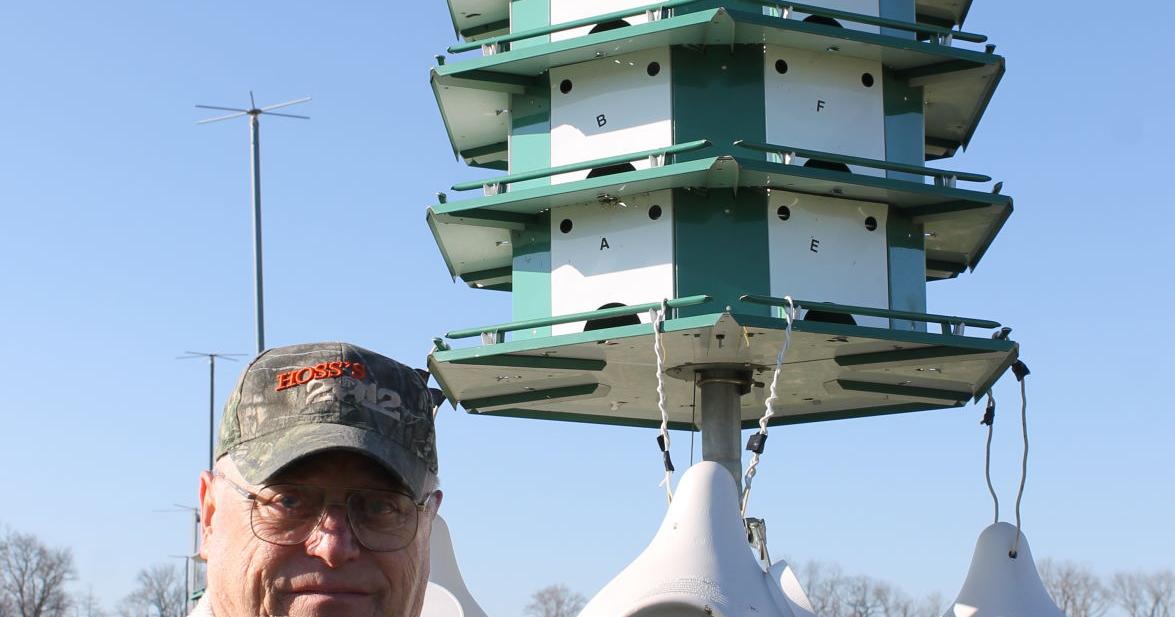 Building castles in the air for Purple Martins | Local | stardem.com