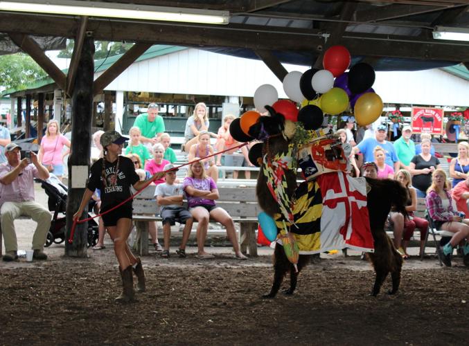 Pretty Animal Contest winners announced | Local | stardem.com