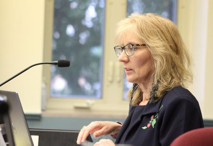 Dorchester County Council passes budget, looks ahead | Local | stardem.com