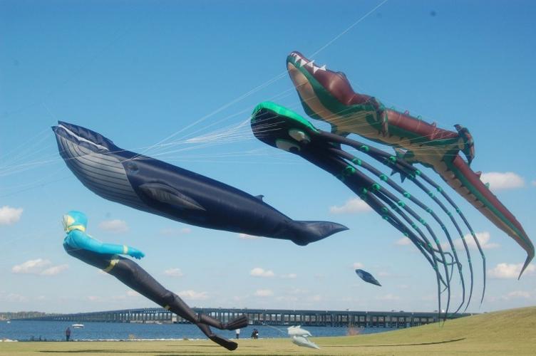 Wind, weather just right to go fly a kite | Local | stardem.com