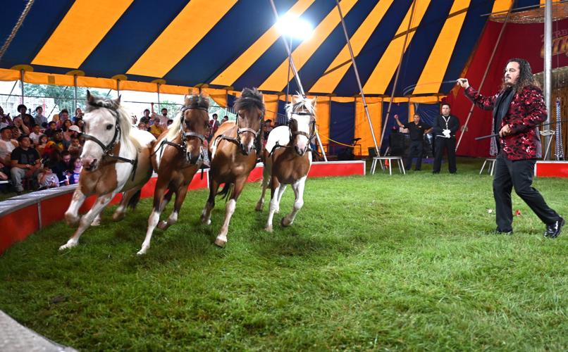 Circus comes to Easton | Local | stardem.com