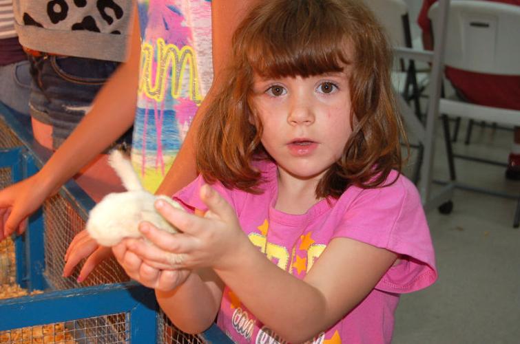 Festival will celebrate 100 years of growing chicken | Business ...