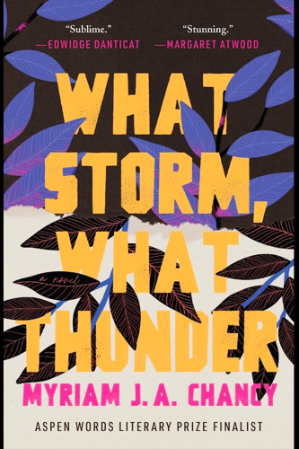 Chancy title named state's 'One Book' | Entertainment | stardem.com