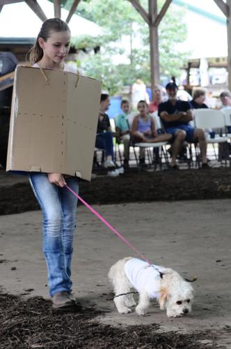 Children get creative in Pretty Animal Contest | Local | stardem.com