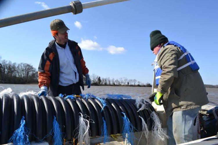 Scientists create largemouth bass nesting areas | State | stardem.com