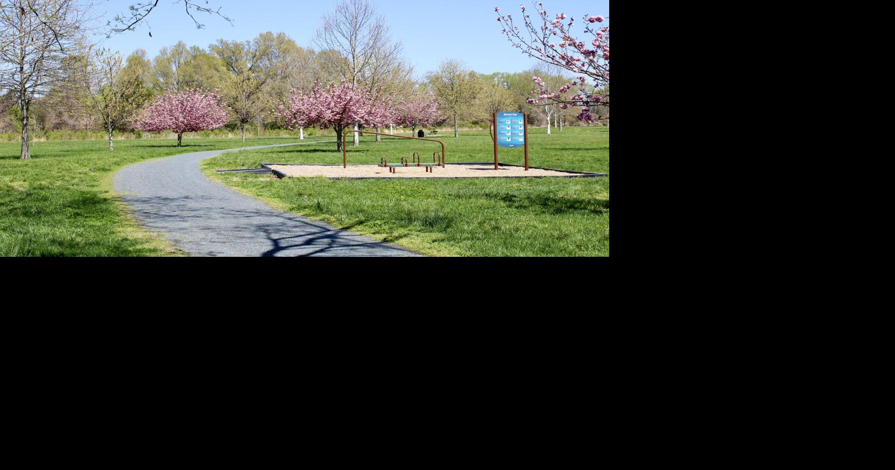 Introductory disc golf clinic tees off at John F. Ford Park in Easton ...