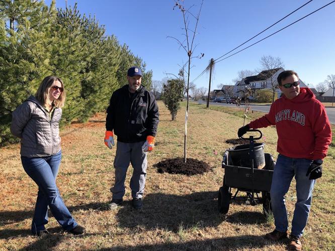 Volunteers plant trees at Sharp Road Park | Local | stardem.com