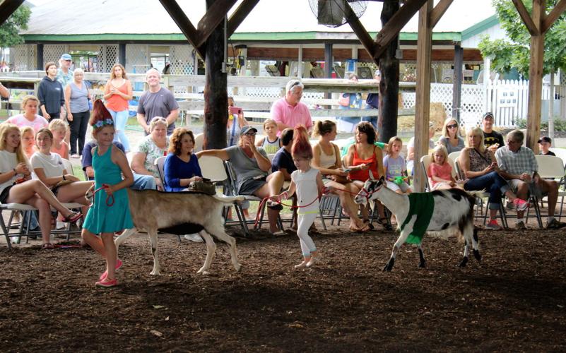 Pretty Animal Contest winners announced | Local | stardem.com
