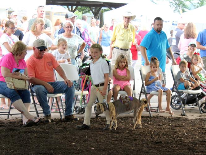 Pretty Animal Contest winners announced | Local | stardem.com