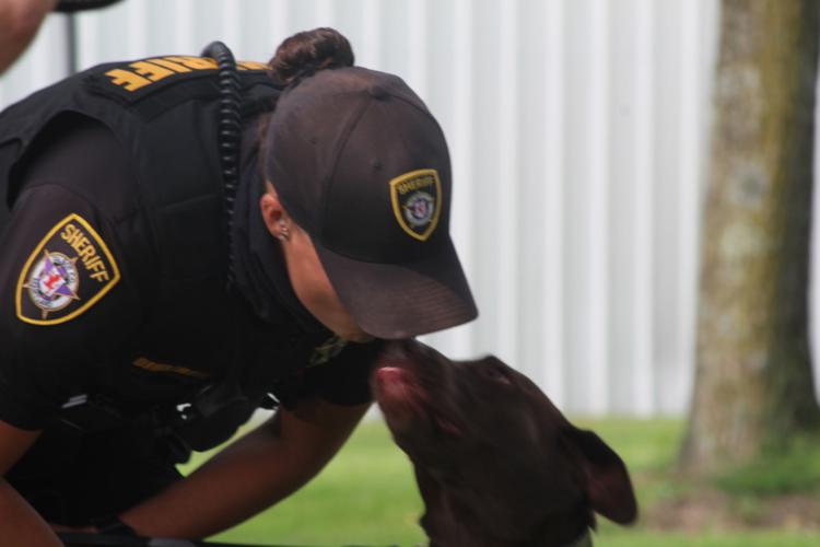 Talbot County Sheriff's Office welcomes two new police dogs | Life ...